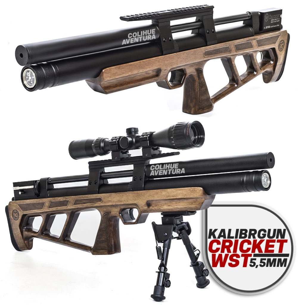 Armas PCP archivos - Página 3 de 7 - Colihue Aventura